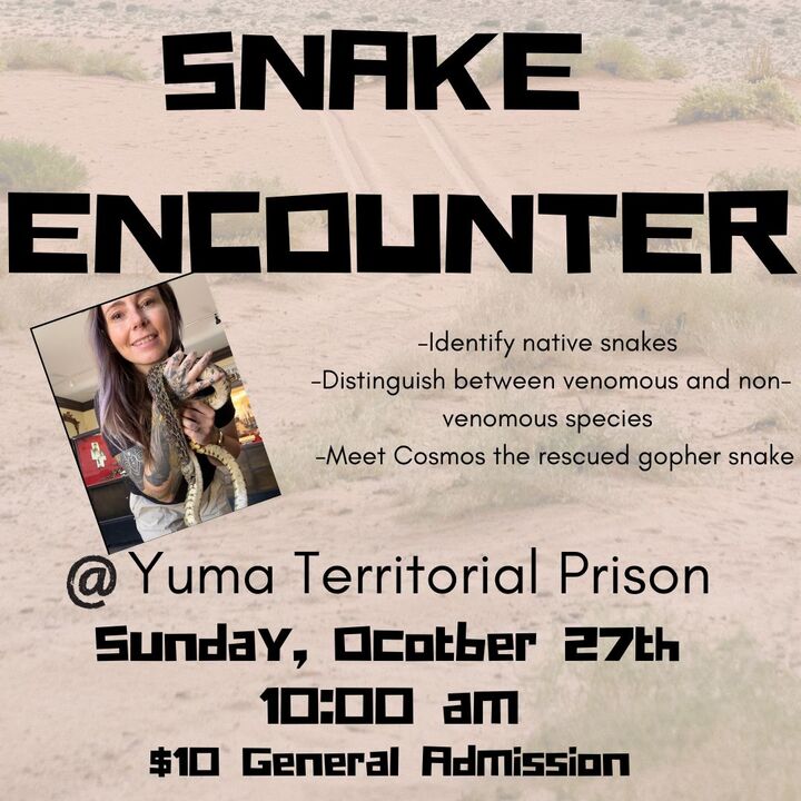 Snake Encounter - Yuma Crossing National Heritage Area